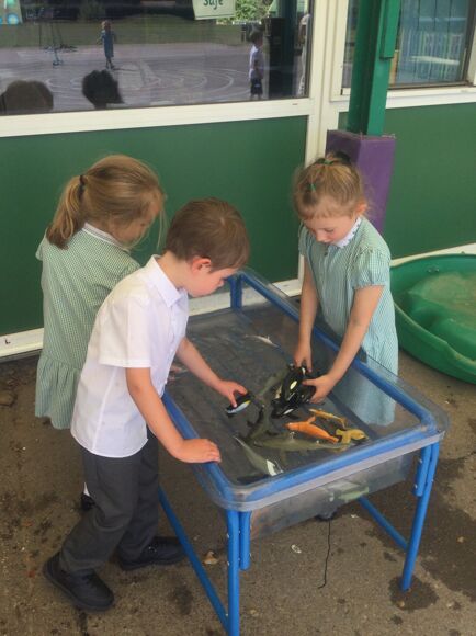 Year 1 - Cranbourne Primary School