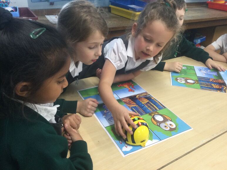 Year 1 - Cranbourne Primary School