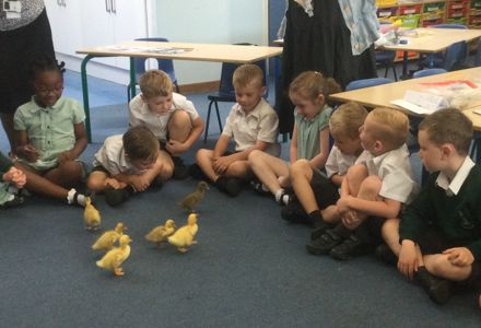 Year 1 - Cranbourne Primary School