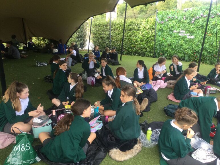 Year 6 - Cranbourne Primary School