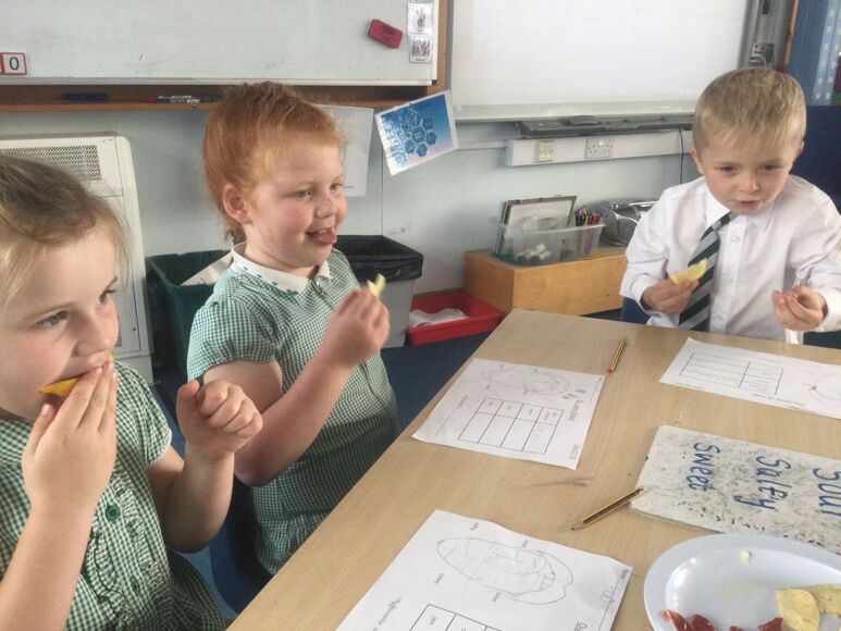 Year 1 - Cranbourne Primary School