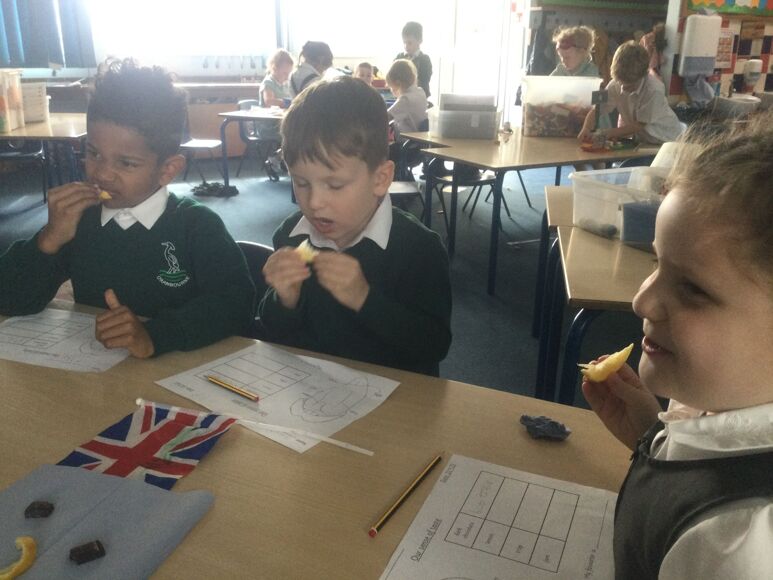 Year 1 - Cranbourne Primary School