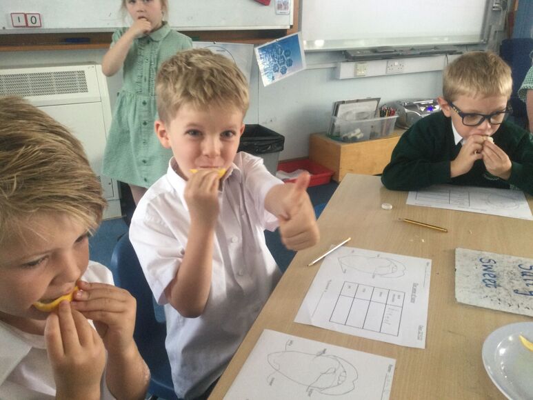 Year 1 - Cranbourne Primary School