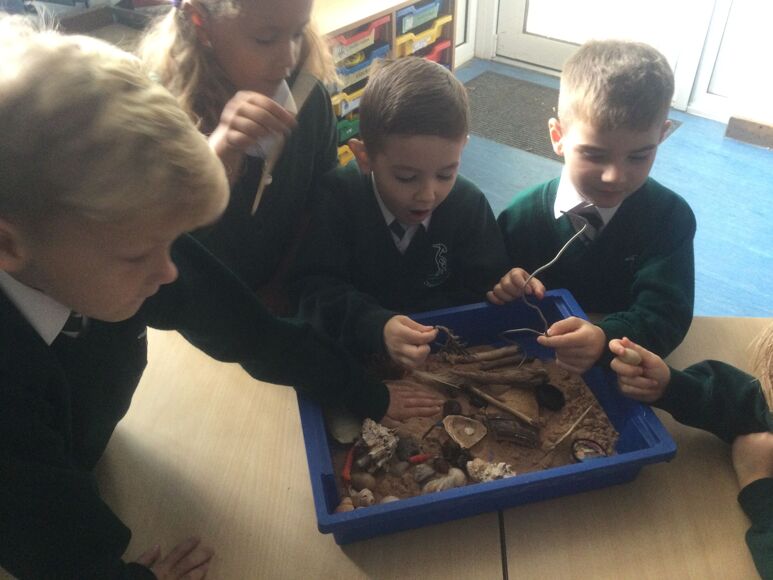 Year 1 - Cranbourne Primary School