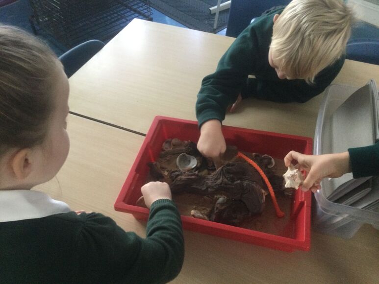 Year 1 - Cranbourne Primary School