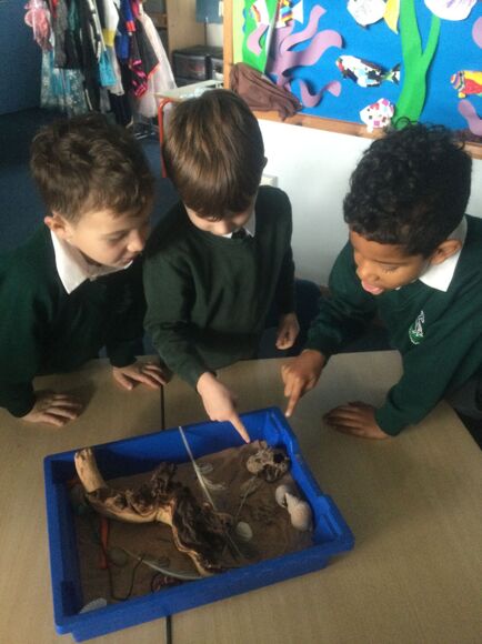 Year 1 - Cranbourne Primary School