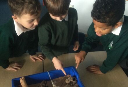 Year 1 - Cranbourne Primary School